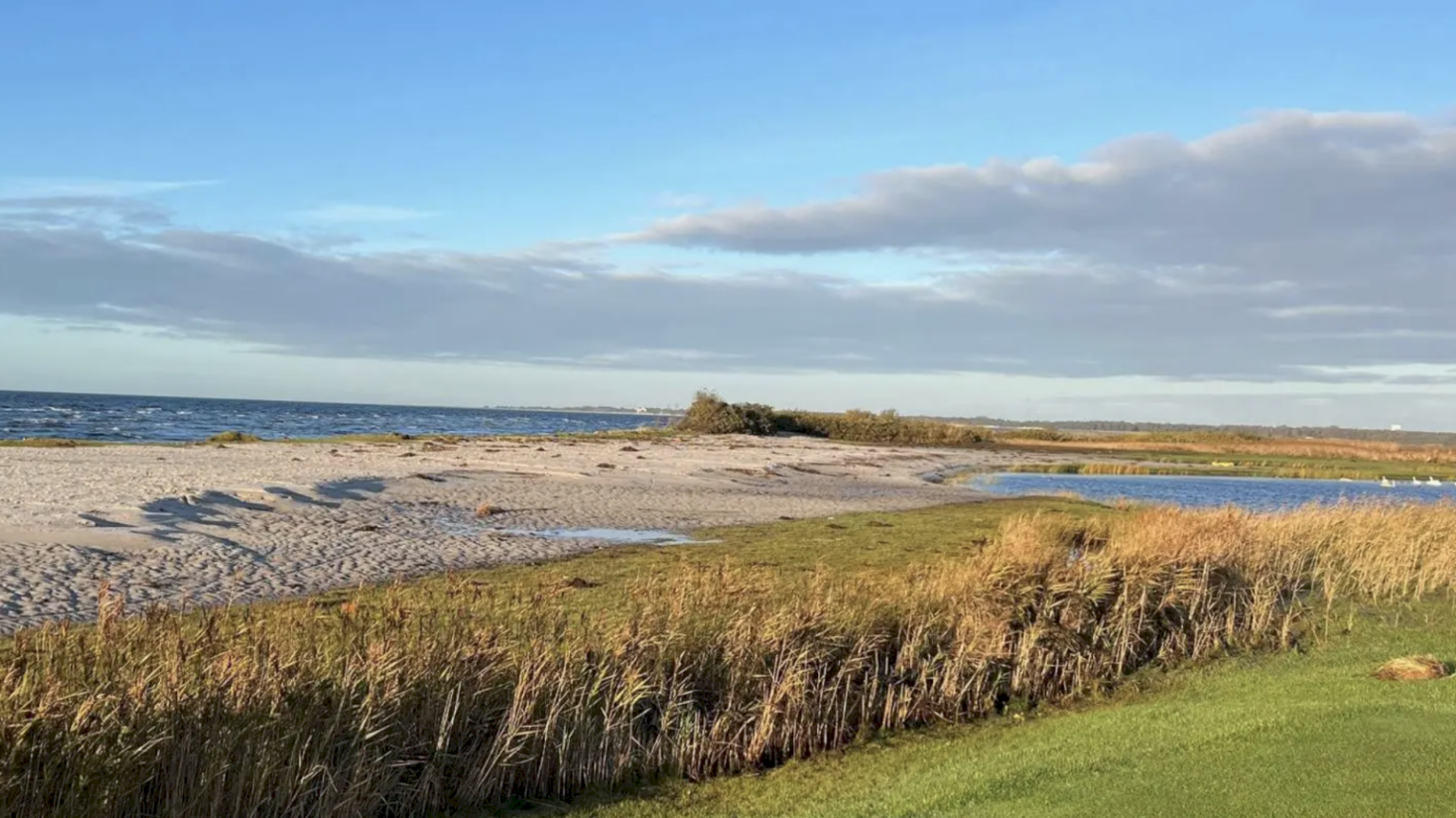 Golfhål ödelagt: ”Ser ut som en stor sandstrand”