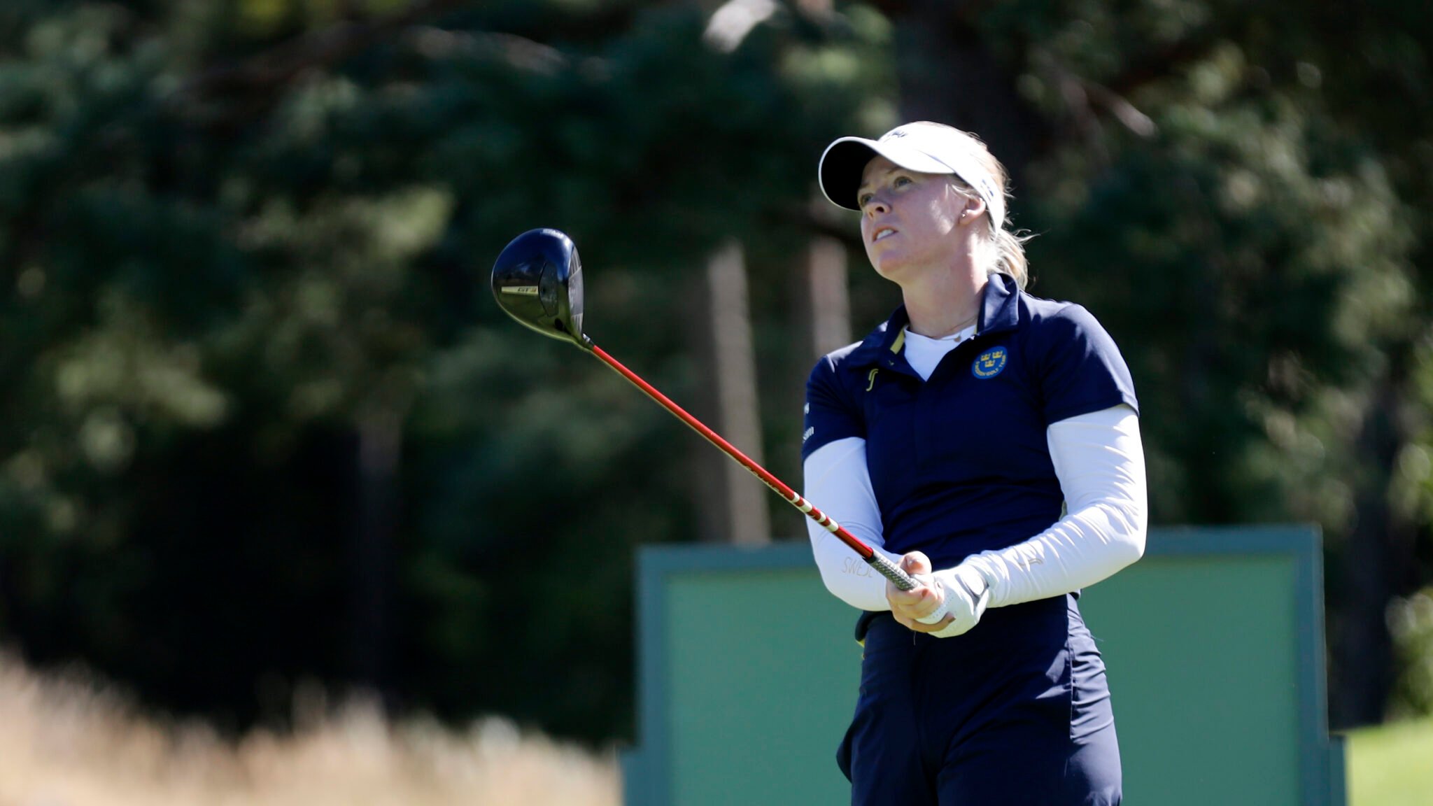 Örtengren historisk på Hills